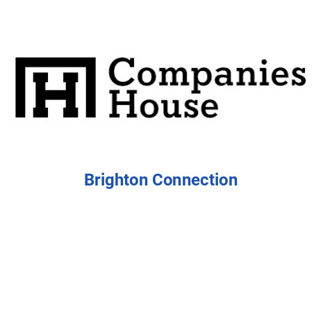 BRIGHTON CONNECTION | Companies House Registry Search